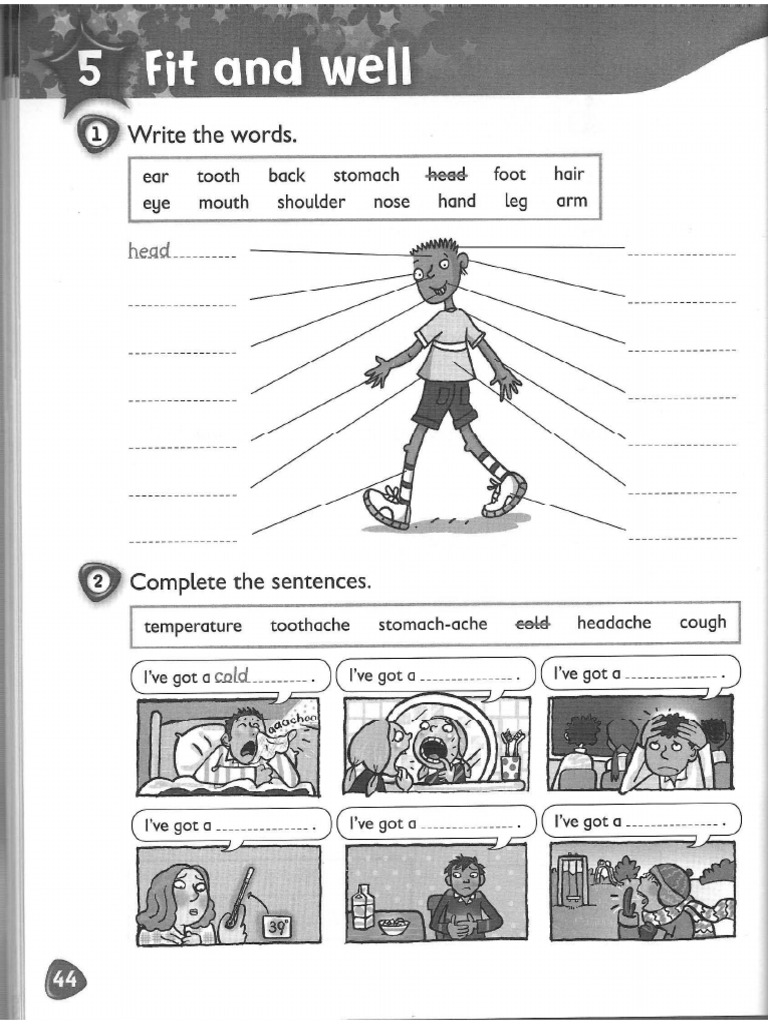 Unit 5. Fit and Well | PDF