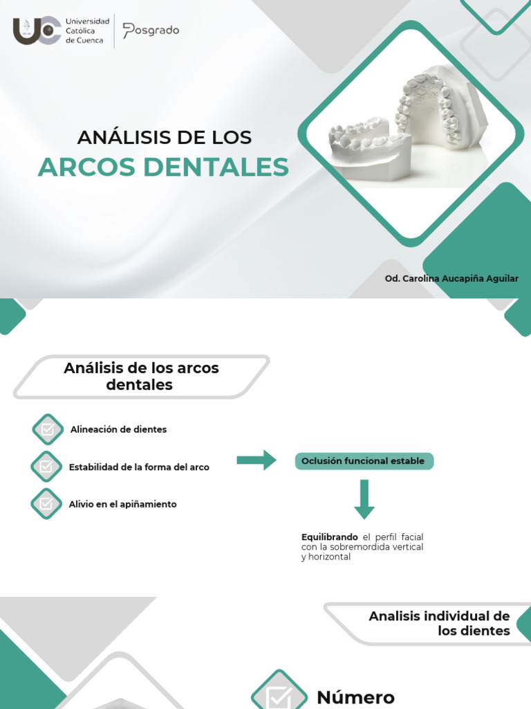 DIAPO DOC Analisis de Arcos | PDF | Diente | Anatomia dental