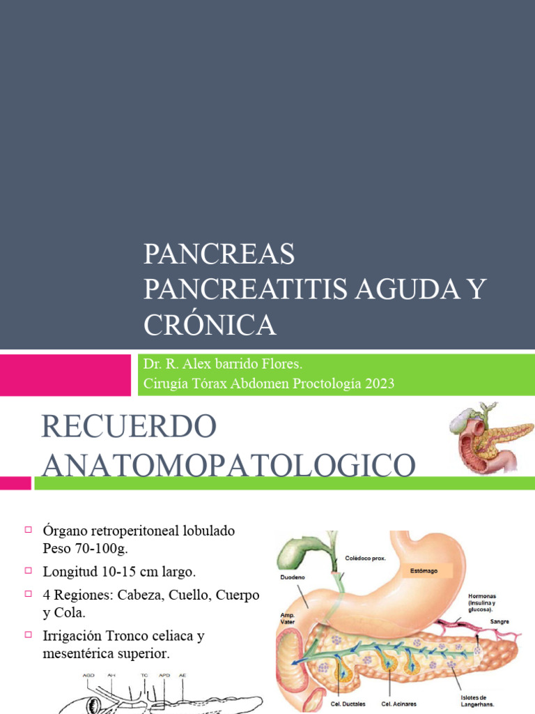 Pancreatitis Aguda y Cronica | PDF | Páncreas | Órgano (anatomía)