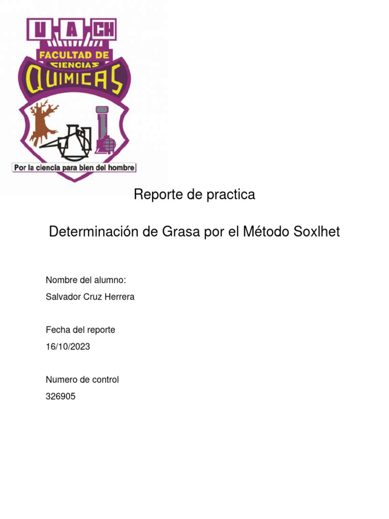 Reporte de Practica Mojonier | PDF