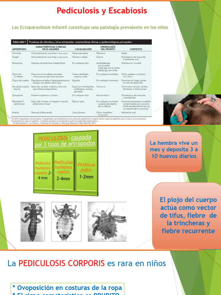 Pediculosis y Escabiosis | PDF