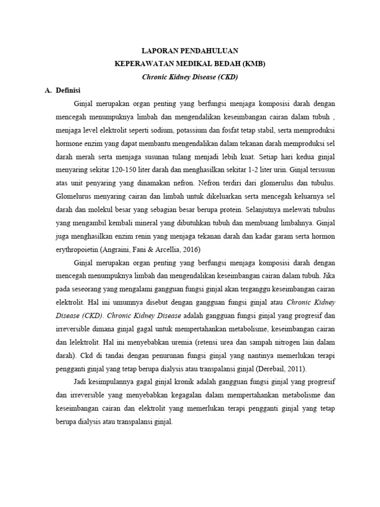Laporan Pendahuluan KMB CKD | PDF