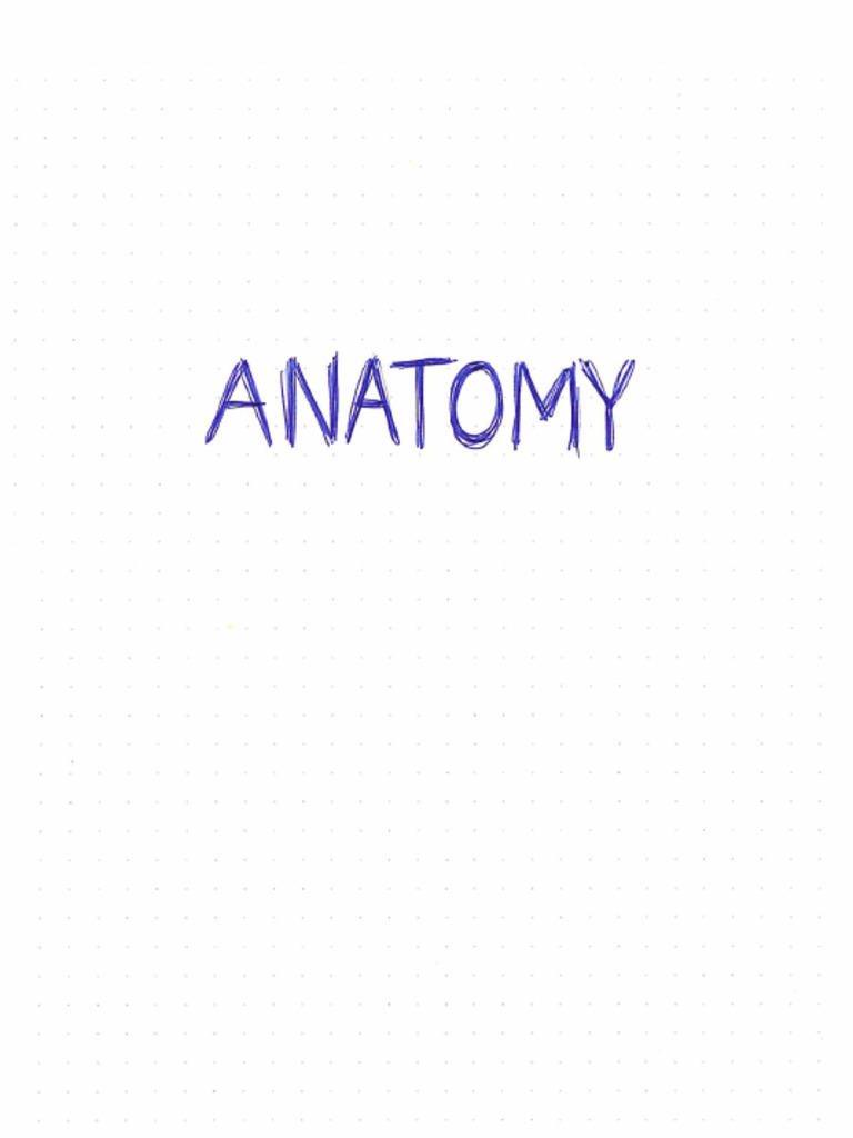 Anatomy Notes | PDF