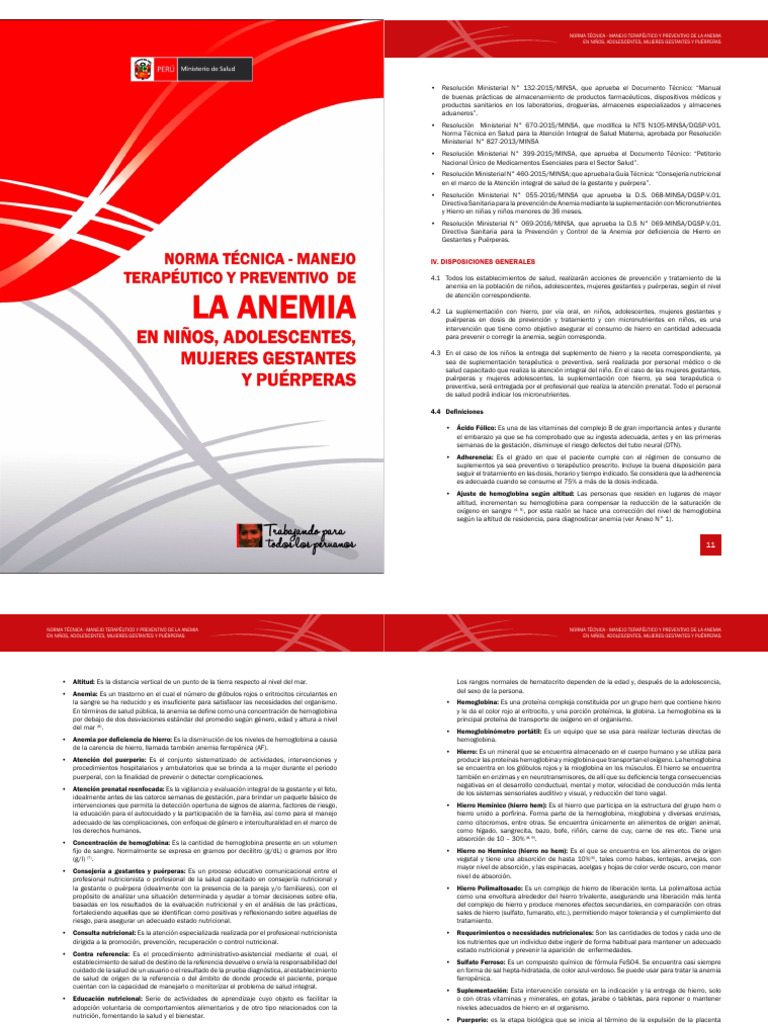 NTS Anemia - Minsa | PDF | Anemia | Nutrición