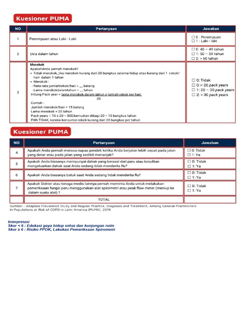 Kuisioner PUMA New | PDF