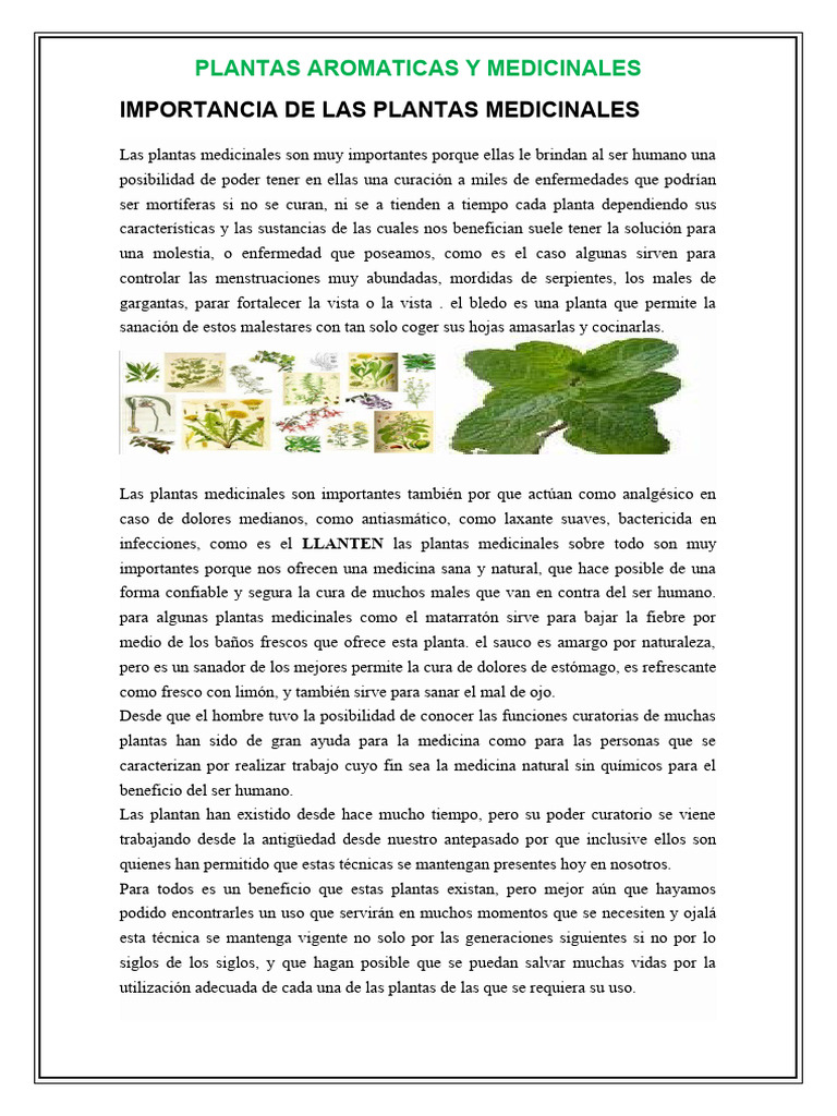 Importancia de las Plantas Medicinales | PDF | Ciencia y matemáticas