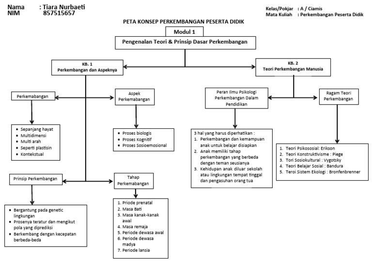 Peta Konsep Modul 1 PPD | PDF