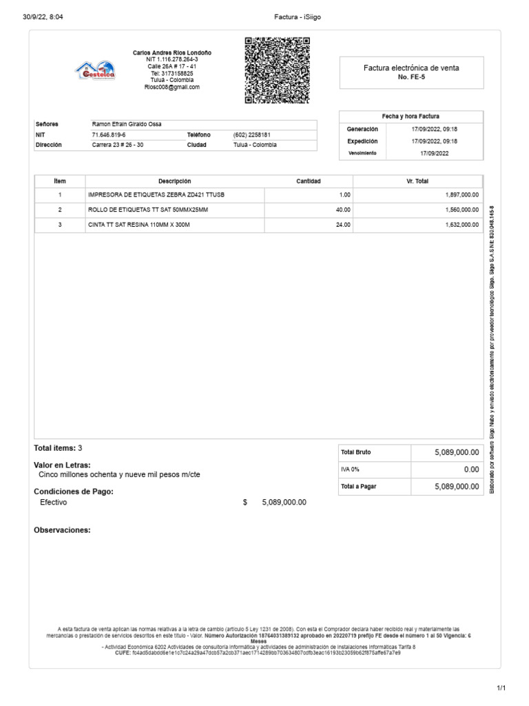 Factura 5 Montana | PDF | Pagos