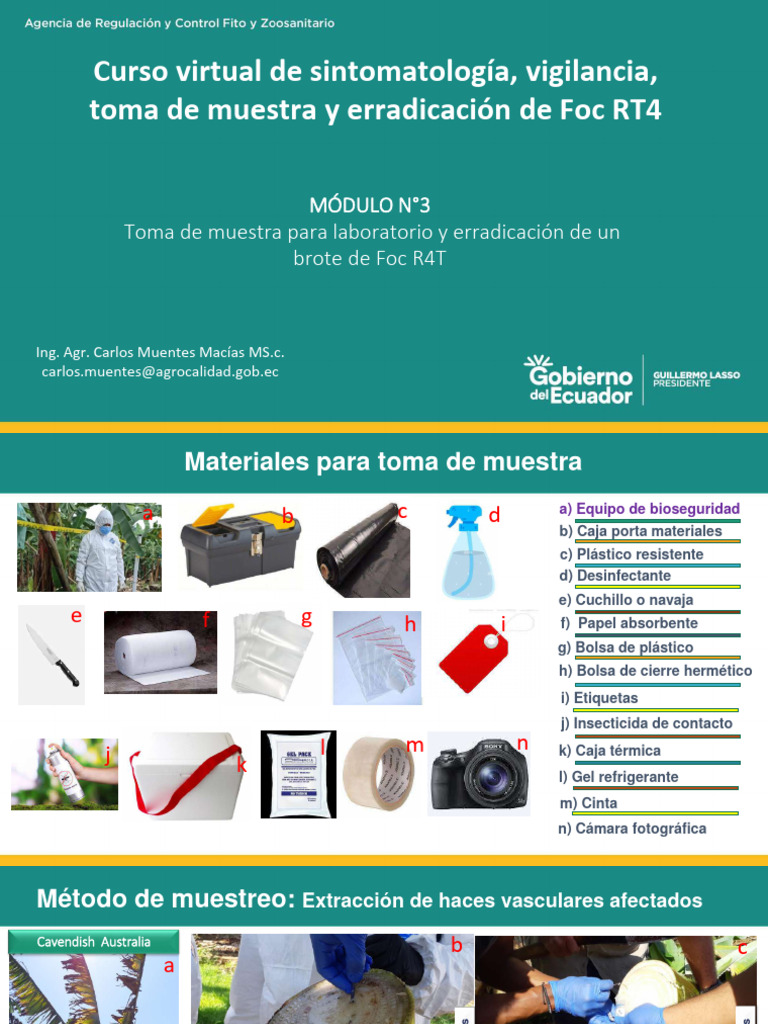 Presentación - Toma de Muestras y Erredicación de Un Brote de Foc R4T - Compressed | PDF | Residuos