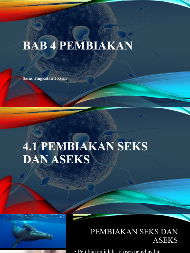 BT F1 Bab 4 | PDF