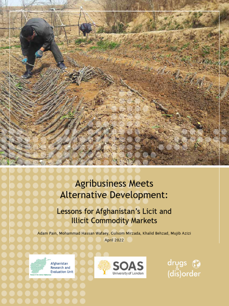 Card F Report English Redesigned - Redesigned 1 | PDF | Illegal Drug ...