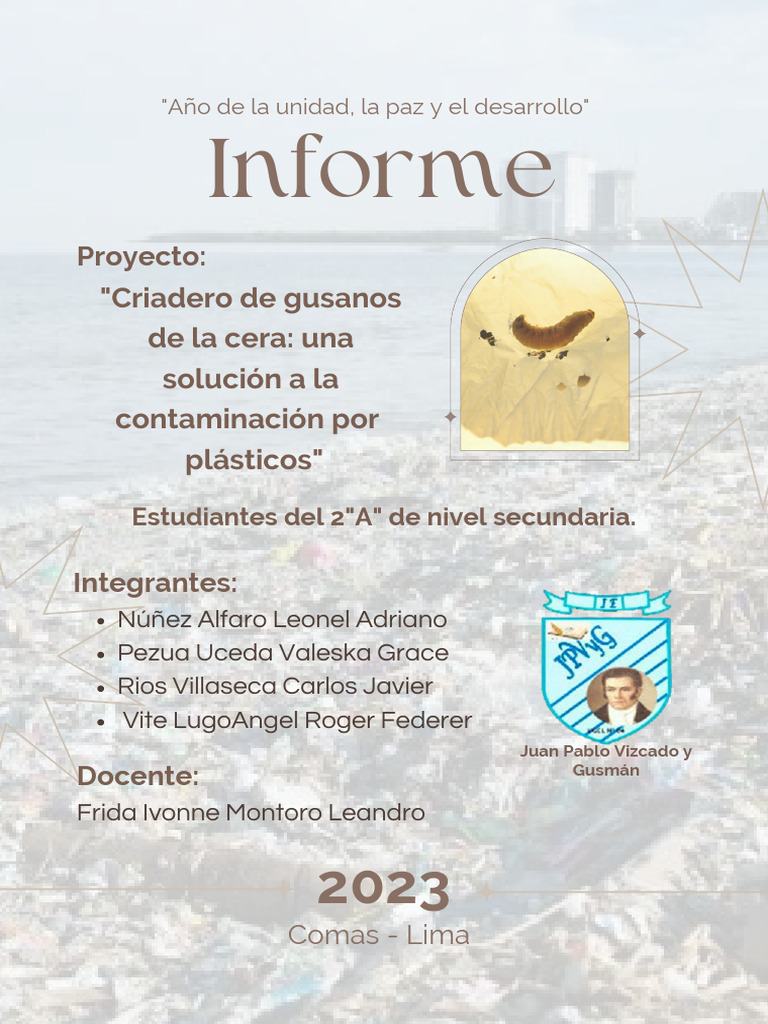 Informe Cyt | PDF