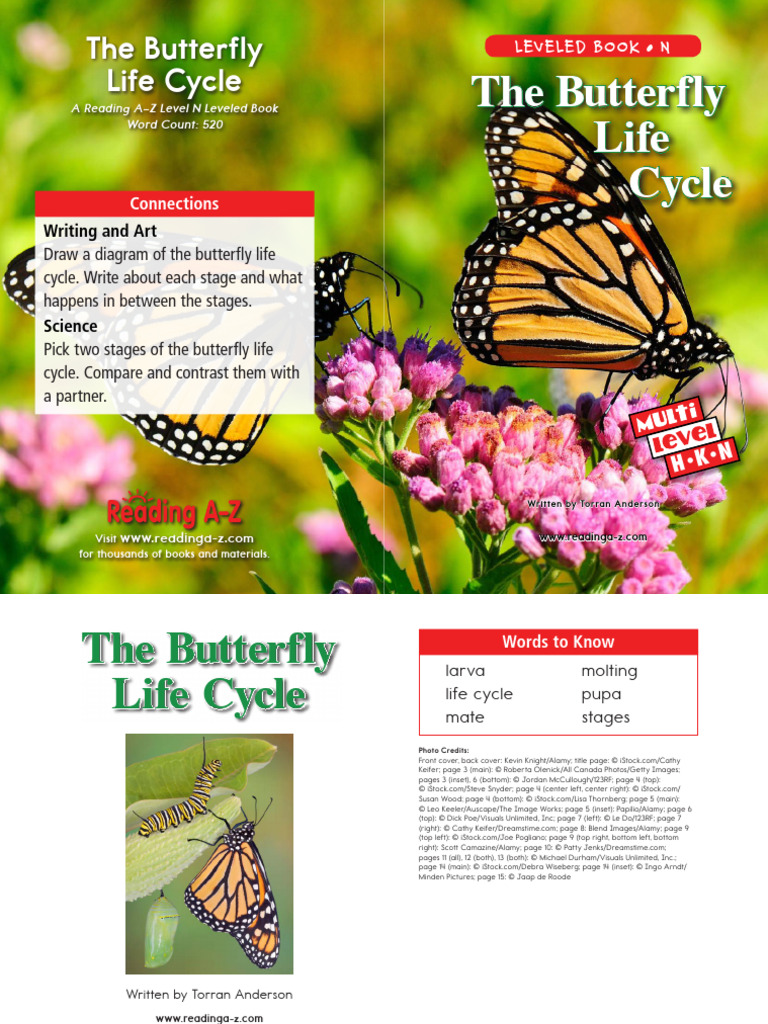 The Butterfly Life Cycle | PDF