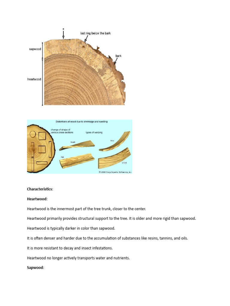 Heartwood VS Sapwood | PDF