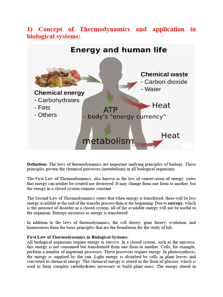 Metabolism | PDF