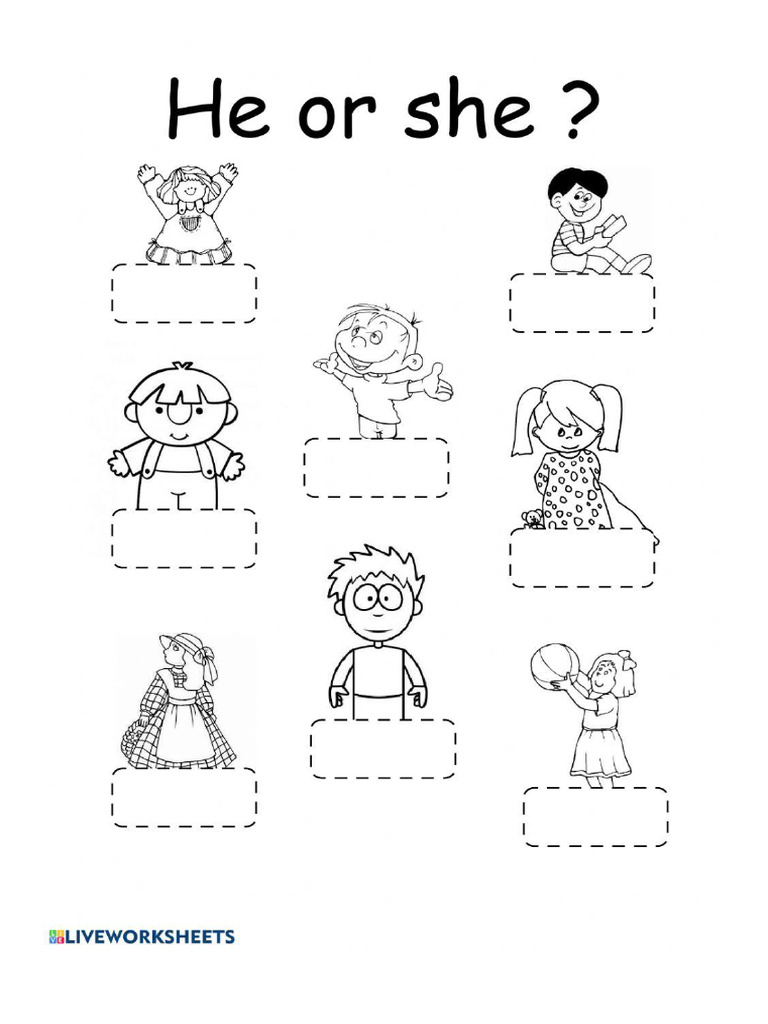 He/She Worksheet | PDF
