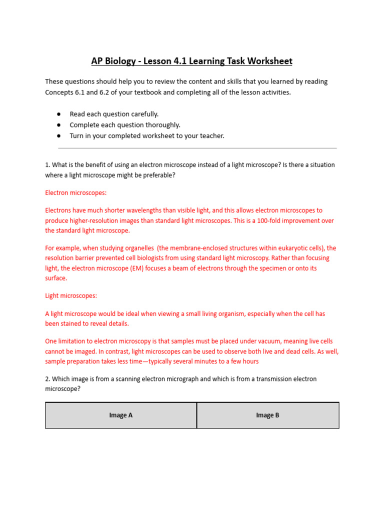 AP Bio Lesson 4.1 Worksheet | PDF