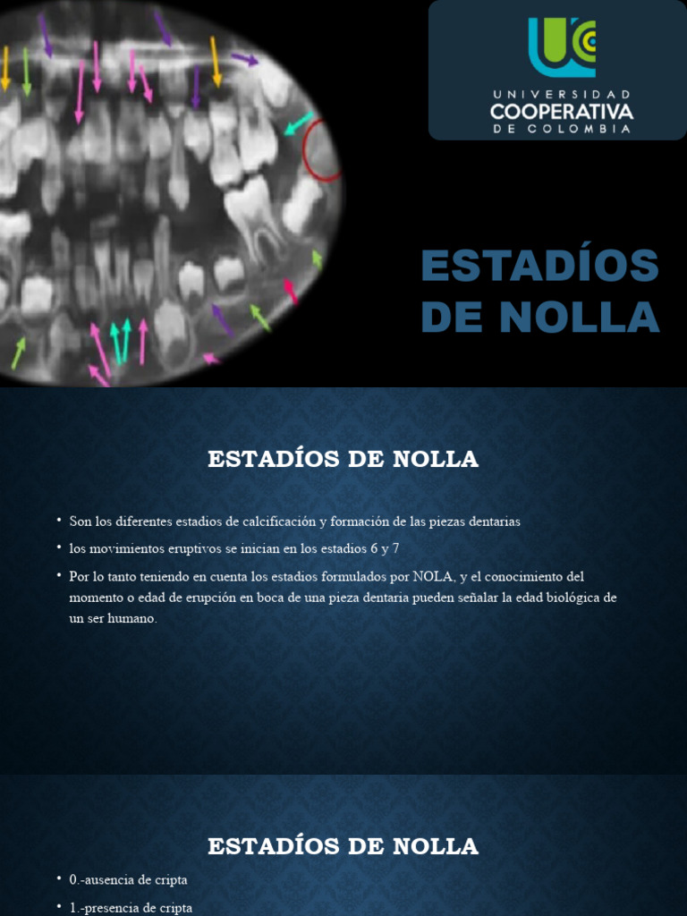 Estadios de Nolla | PDF