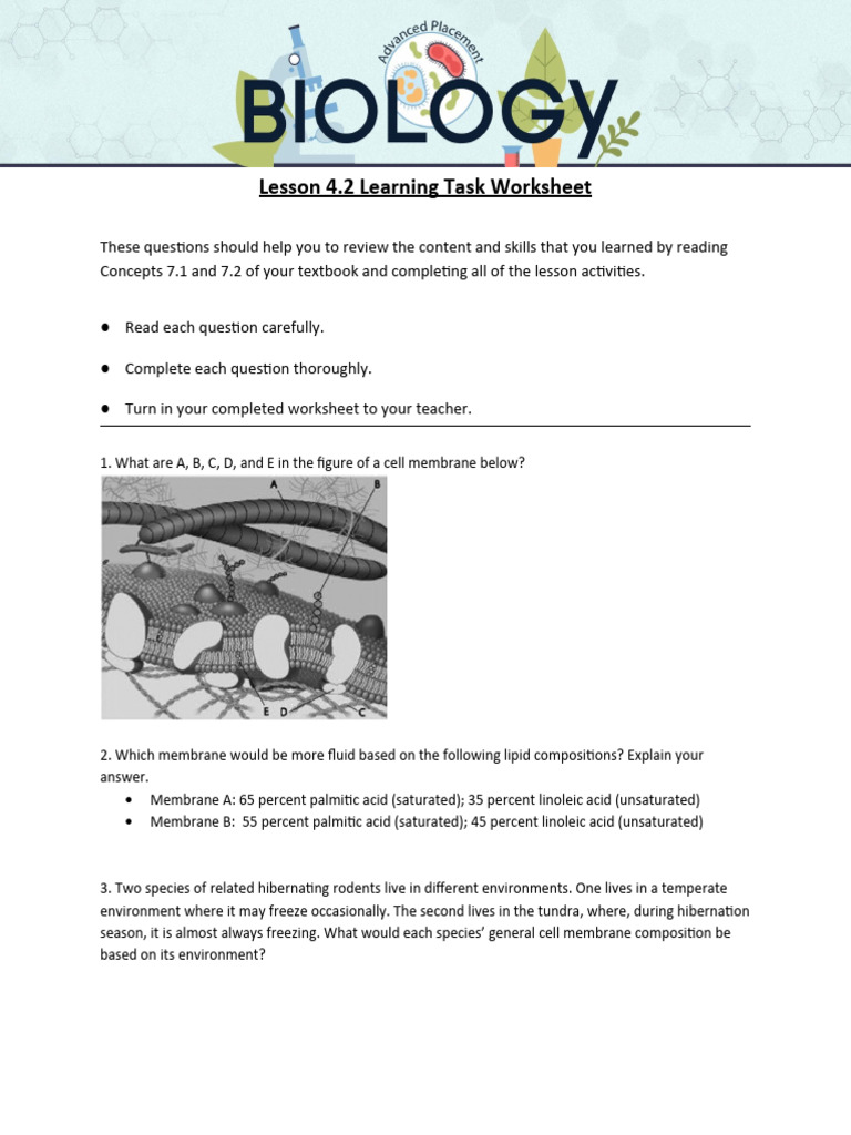 APBIO 4.2 Worksheet | PDF