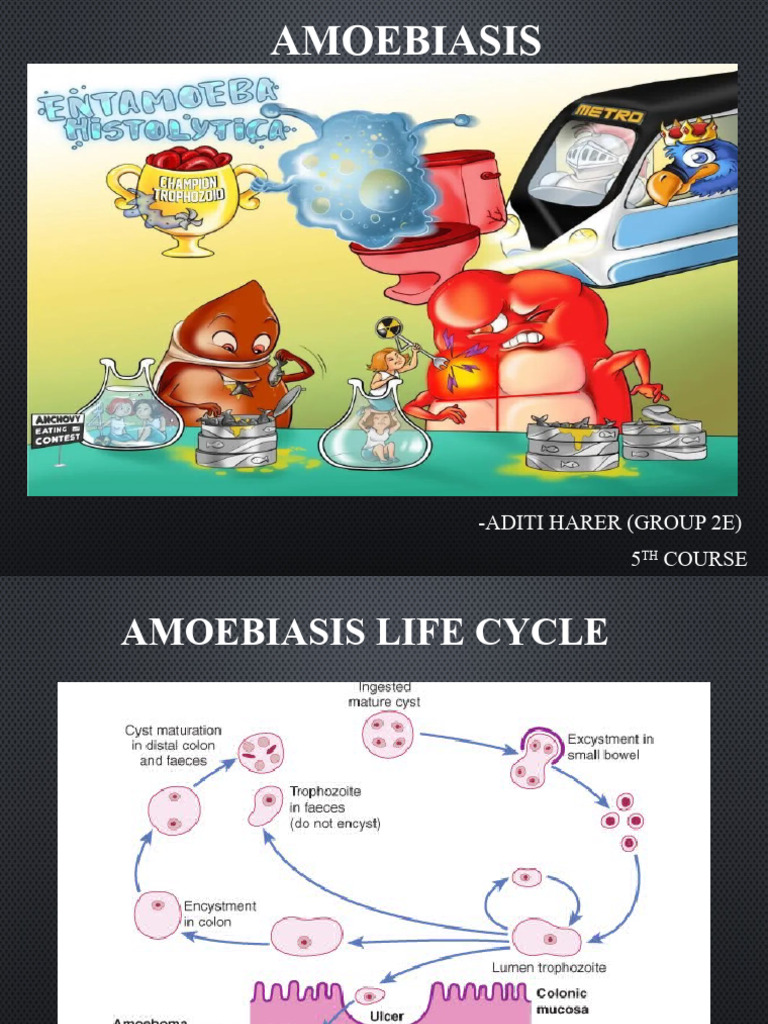 Amoebiasis PPT Aditi Harer | PDF