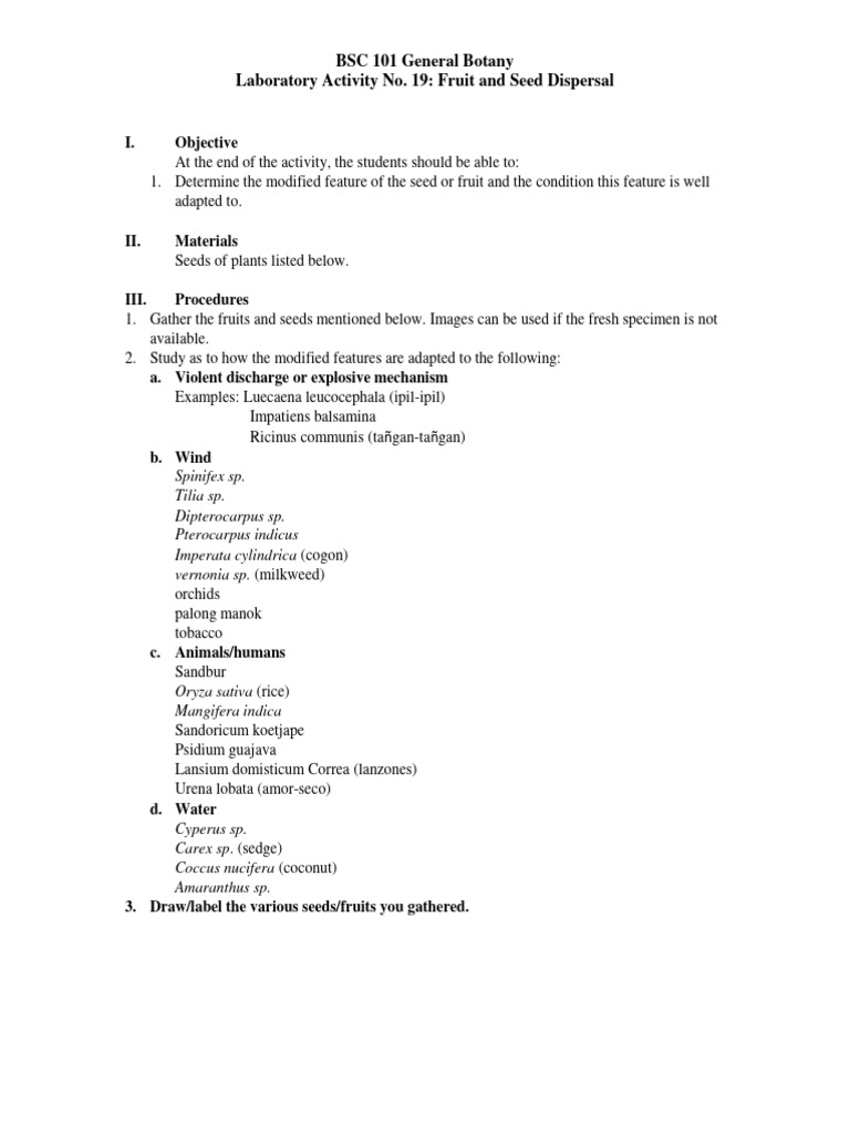 Laboratory Activity No 19 Fruit and Seed Dsipersal | PDF