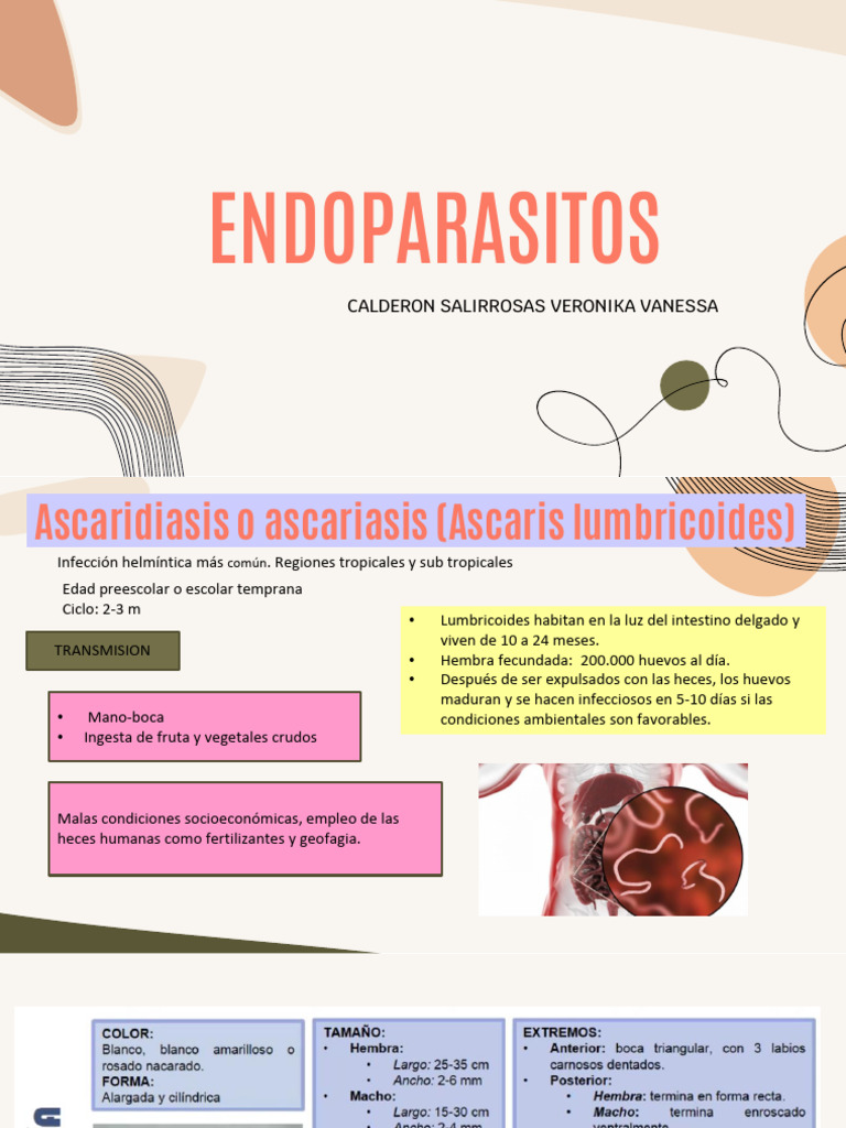 Endo Parasit Os | PDF | Sistema digestivo | Medicina