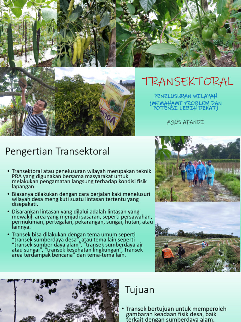 Metode PAR Part Transektoral | PDF | Sains & Matematika