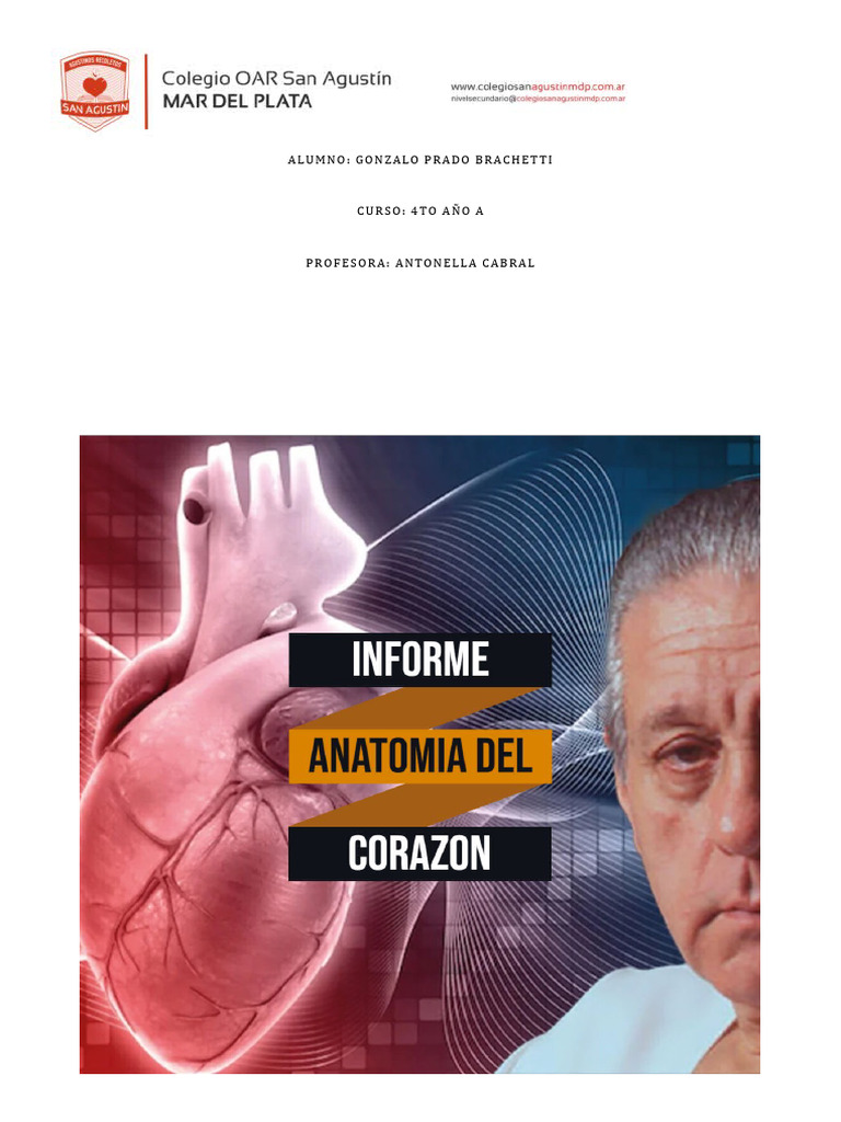 Informe Anatomia Del Corazon Gonzalo Prado 2 | PDF