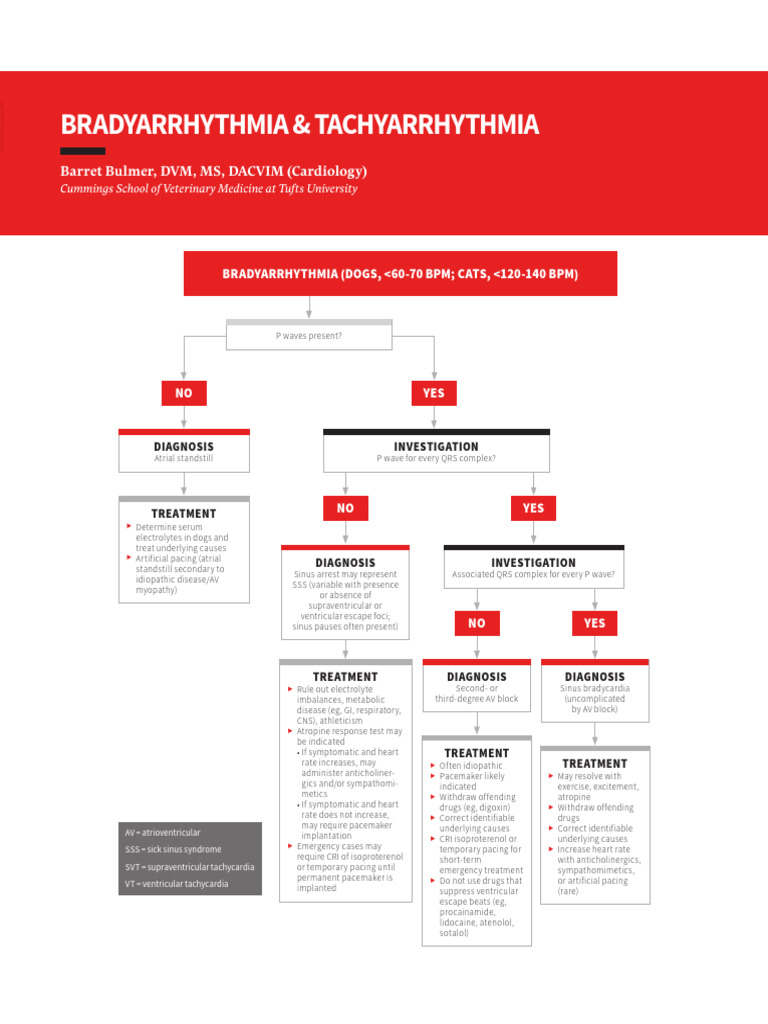 Clinician's Brief - Algorithms To Guide Your Diagnosis and Treatment-1 ...