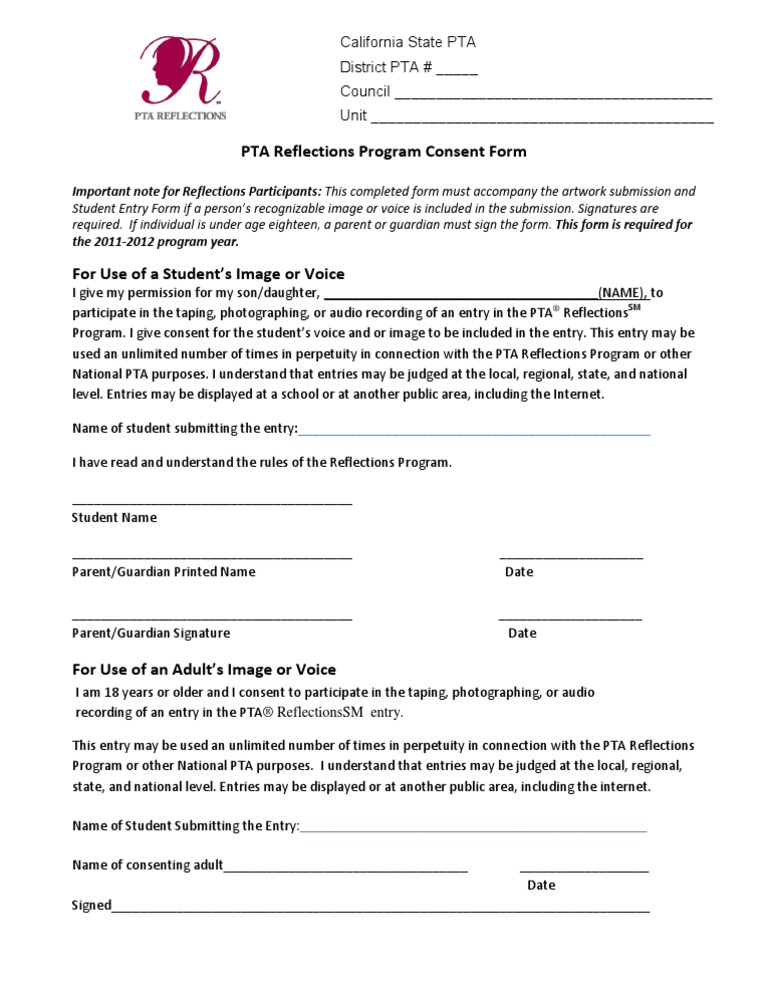 Reflections-Form Fillable Consent | PDF