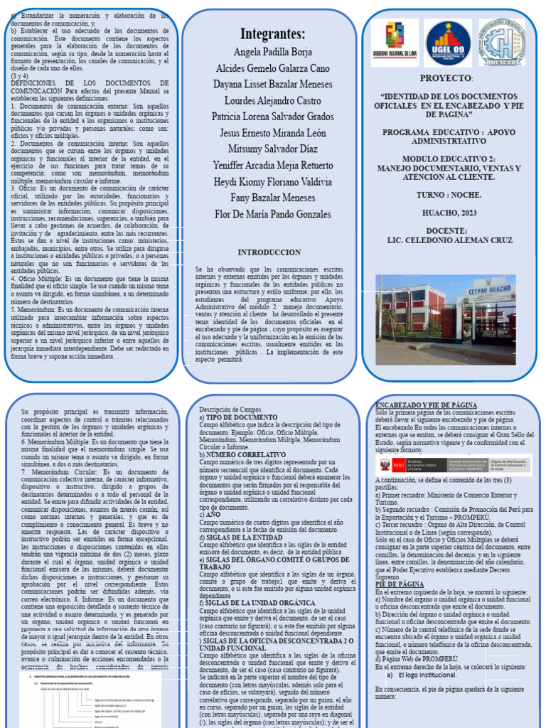 Proyecto Cetpro | PDF