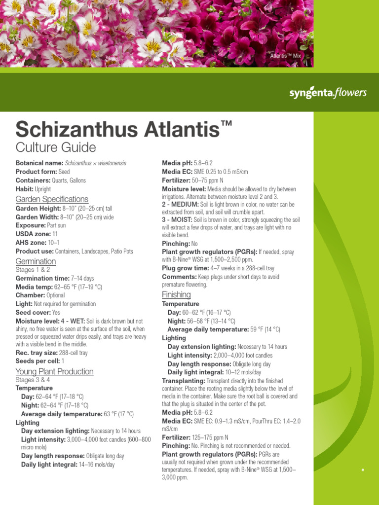 Culture Seed Schizanthus Atlantis | PDF | Soil | Seed