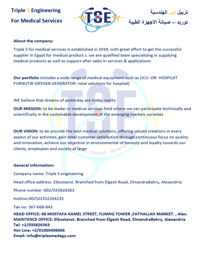 Tse Profile Company 2 | PDF | Business | Economies