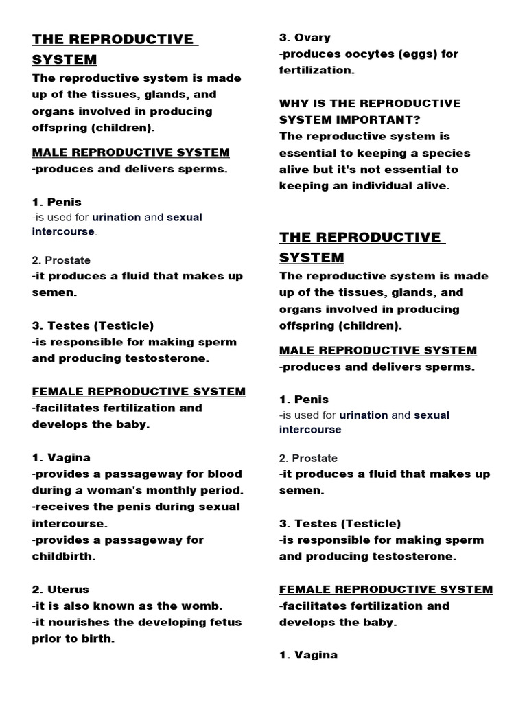 Reproductive Handout | PDF