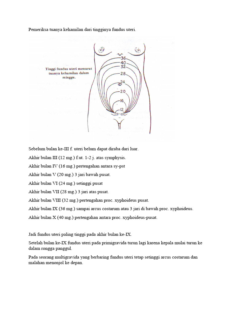 Pemeriksa Tuanya Kehamilan Dari Tingginya Fundus Uteri | PDF