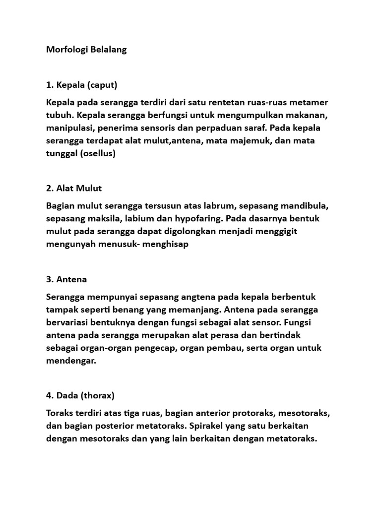 Morfologi Belalang | PDF