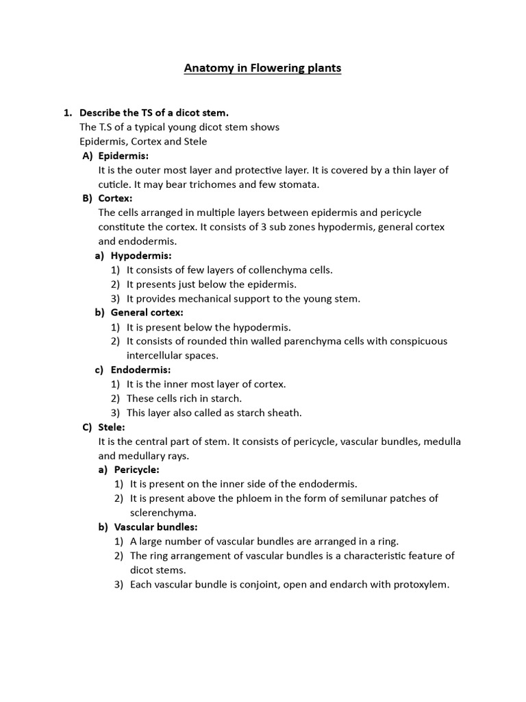 Plant Anatomy | PDF | Leaf | Tissue (Biology)