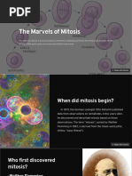 Mitosis in Human Skin Cells Explained | PDF | Mitosis | Cell Biology