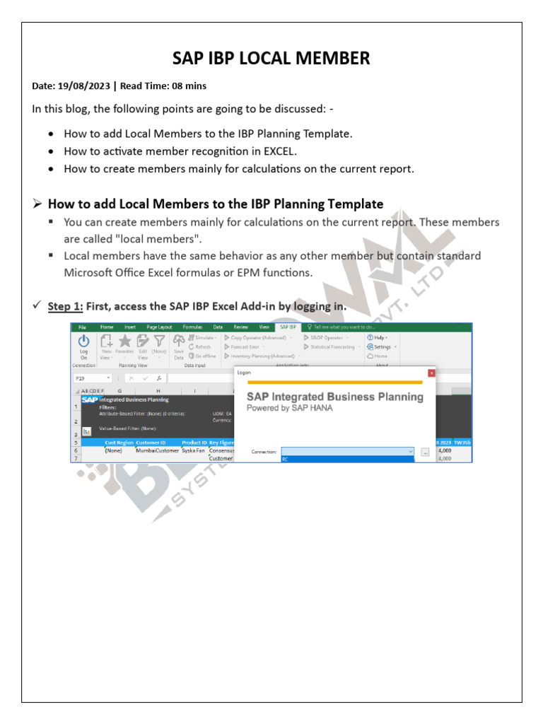 Sap Ibp Local Member: How To Add Local Members To The IBP Planning ...