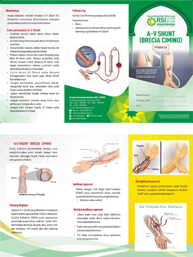 Av Shunt - 2020 | PDF