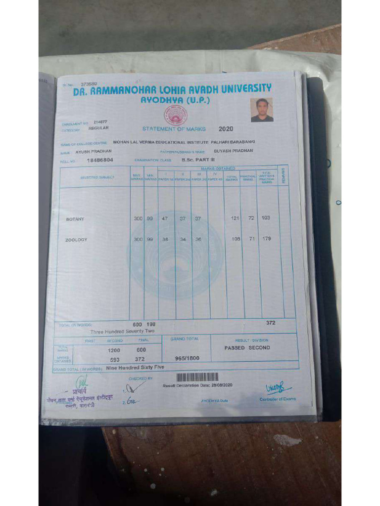 Graduation Marksheet | PDF