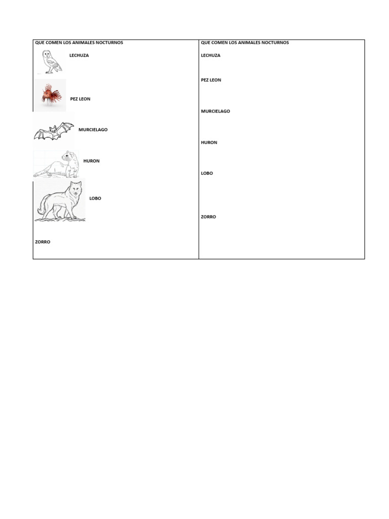 Que Comen Los Animales Nocturnos | PDF