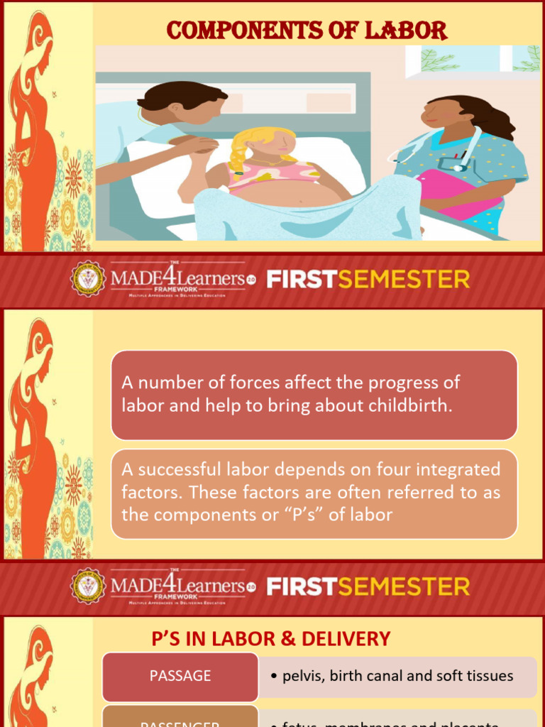Components of Labor | PDF