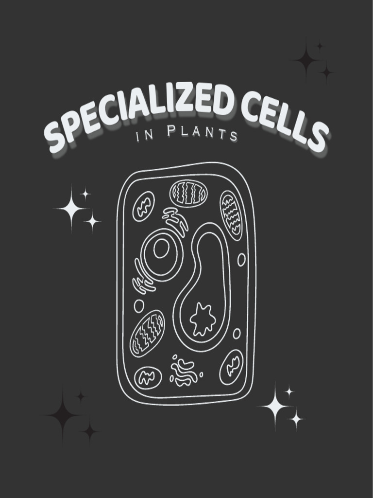 Specialized Cell in Plants | PDF