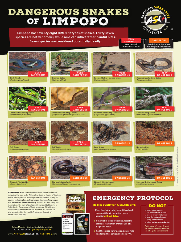 Limpopo Snakes | PDF | Reptile | Vertebrates Of Africa