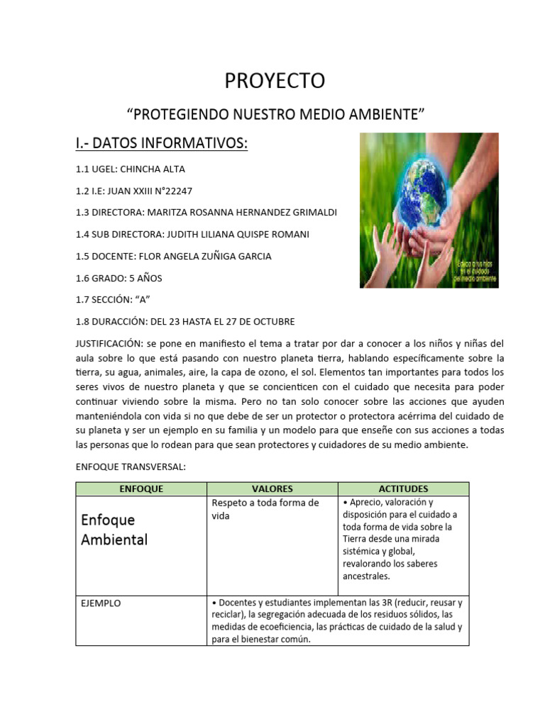 Proyecto Cuidando Nuestro Medio Ambiente | PDF | Información | Aprendizaje