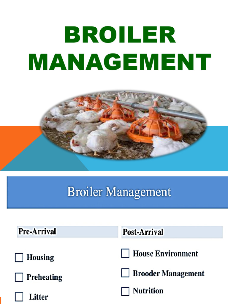 7 - Broiler Management | PDF | Broiler | Farms 7 - Broiler Management | PDF | Broiler | Farms