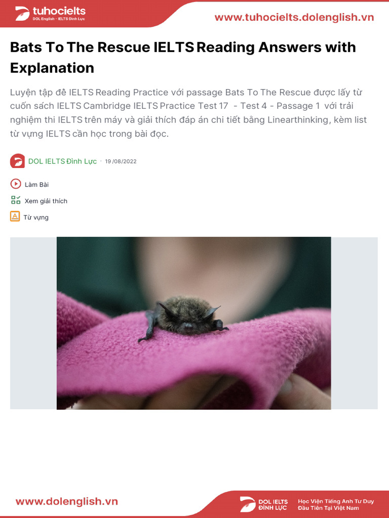 Bats To The Rescue | PDF | Bat | Rice