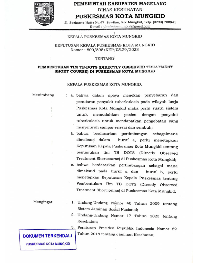 SK Pembentukan Tim TB Dots | PDF