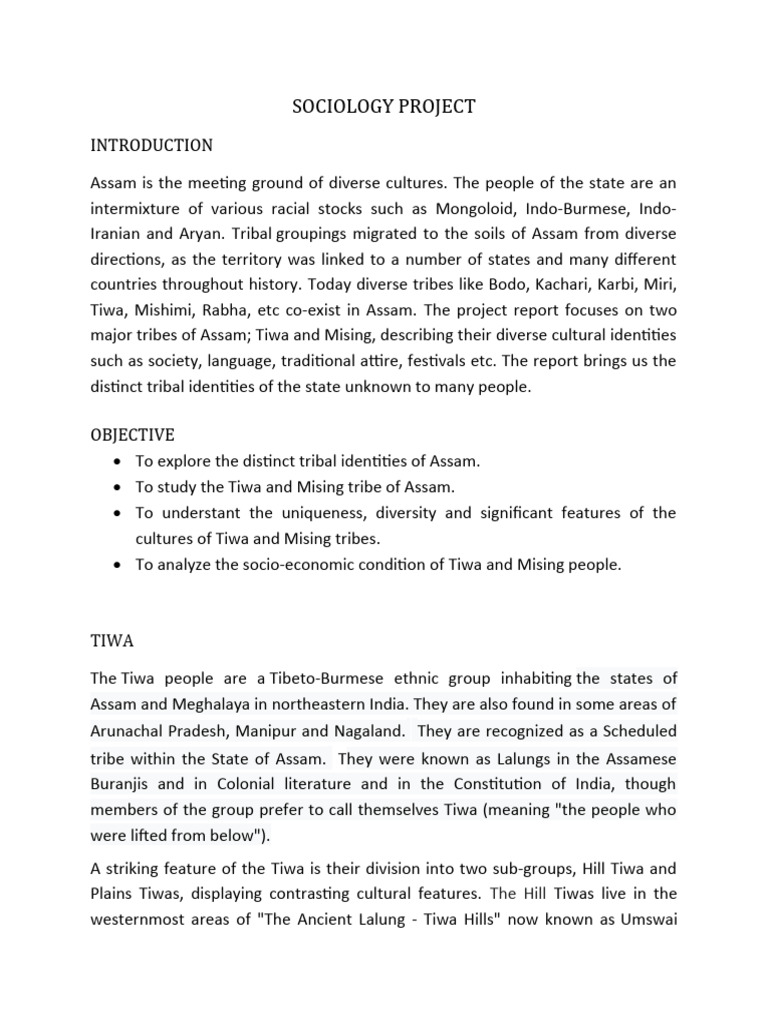 Sociology Project | PDF | South Asia